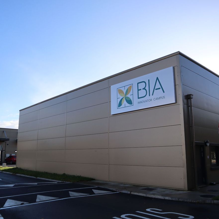 Regional Development | Enterprise Ireland