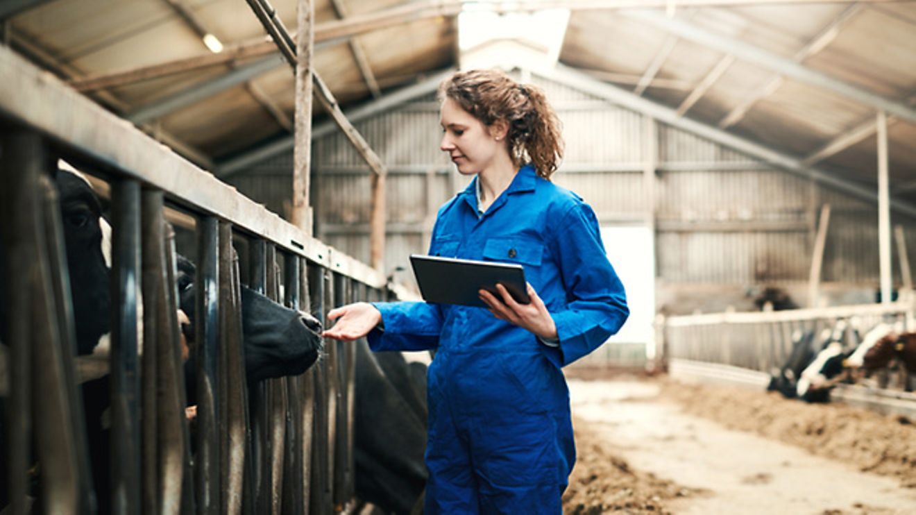 Partner with Agricultural Companies | Enterprise Ireland