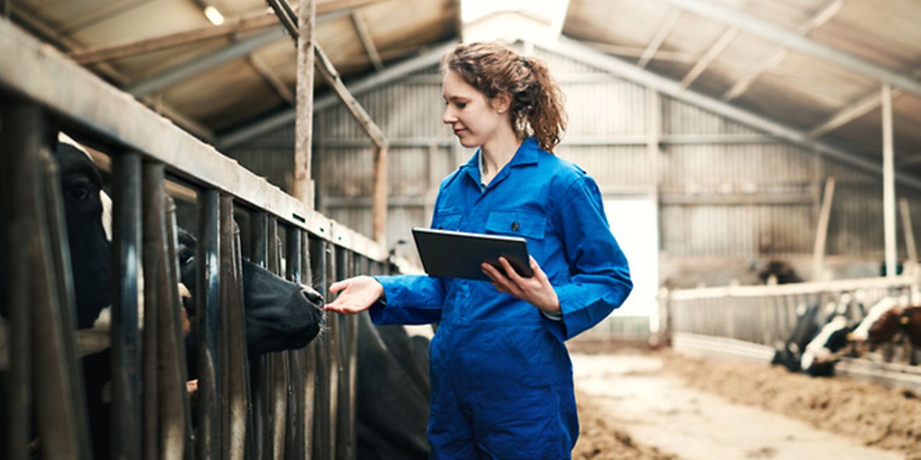 Partner with Agricultural Companies | Enterprise Ireland