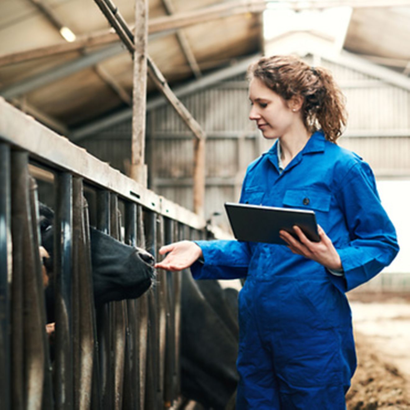Partner with Agricultural Companies | Enterprise Ireland