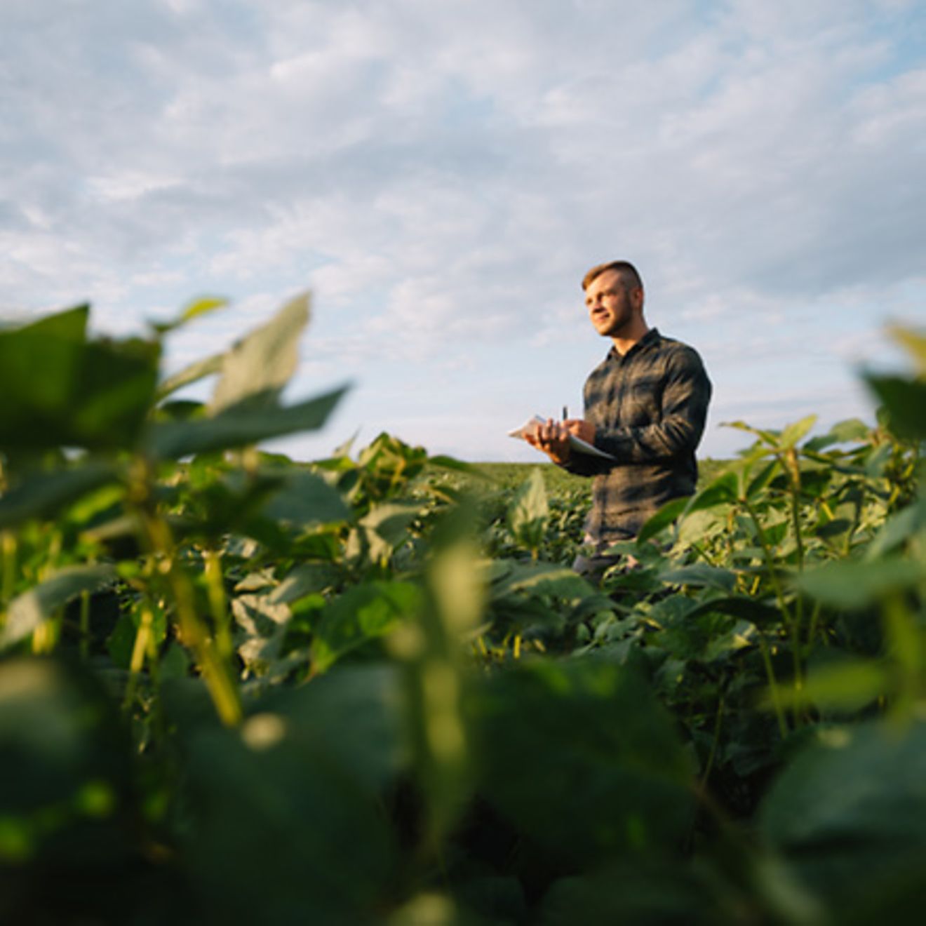 Connect with Irish Innovation | Global | Enterprise Ireland
