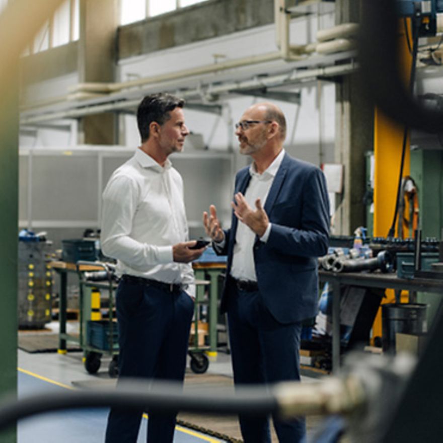 Large Companies | Enterprise Ireland